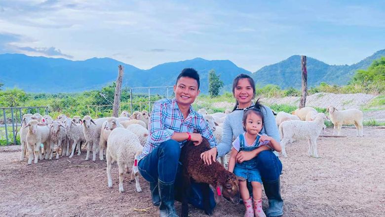 Tourists flock to mountain sheep farm for picture perfect scenery ...
