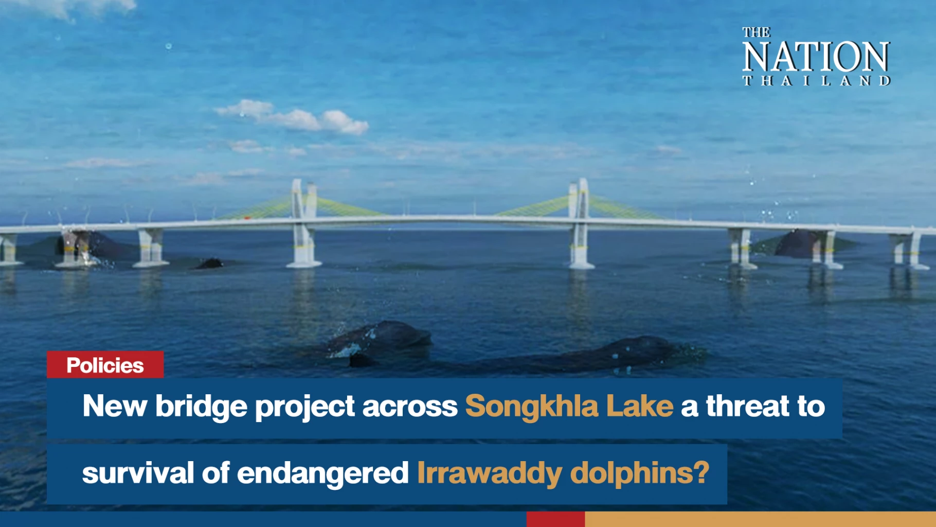 New bridge project across Songkhla Lake a threat to Irrawaddy dolphins ...