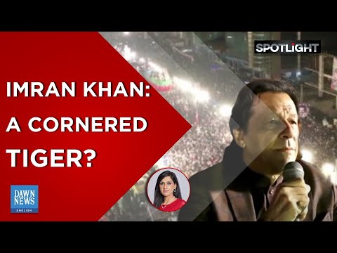 Imran Khan: A cornered tiger? - Asia News NetworkAsia News Network