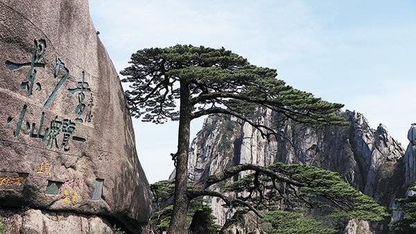 The peak of imagination - Asia News NetworkAsia News Network