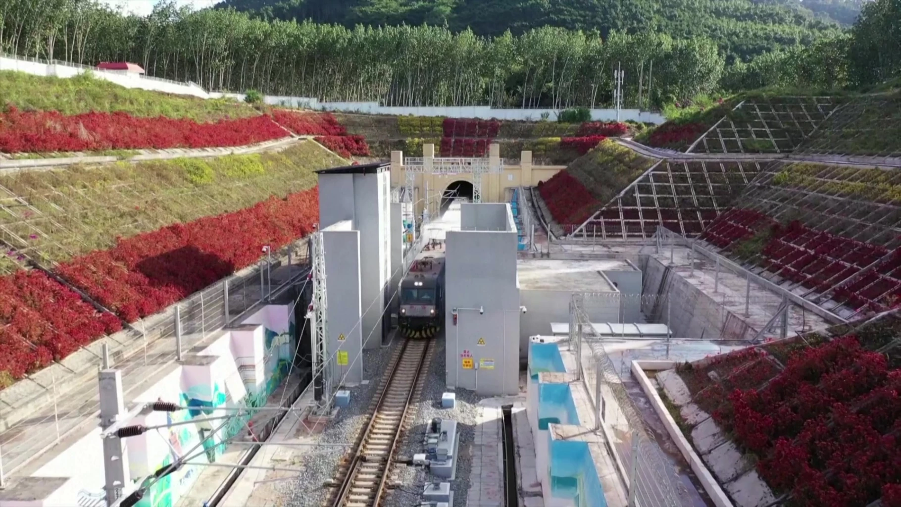First fruit transportation train launched on China-Laos Railway - Asia ...