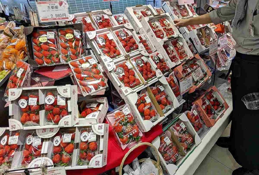 New varieties light up Japan’s growing strawberry market - Asia News ...