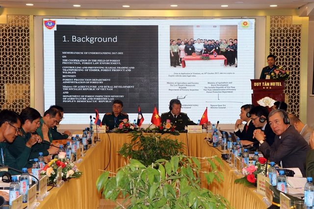 Vietnam, Laos enhance cooperation in forest protection - Asia News ...