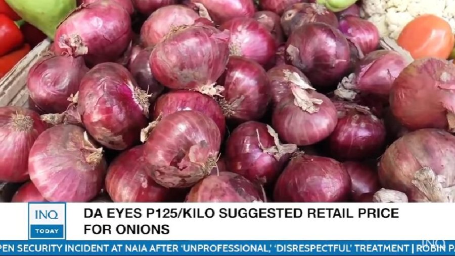 Philippines agriculture dept eyes P125/kilo suggested retail price for onions - Asia News ...