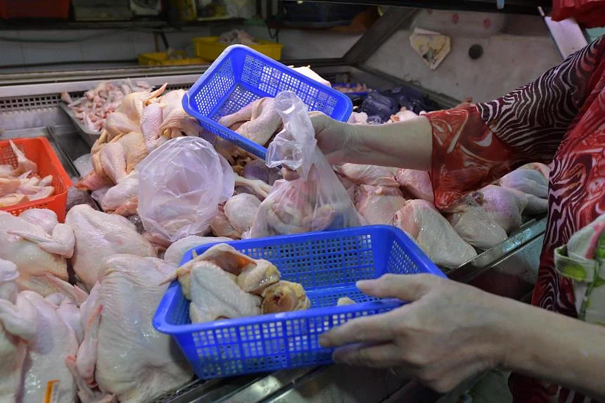 No more price controls for Malaysia’s chicken, eggs after June: Agriculture minister - Asia News ...