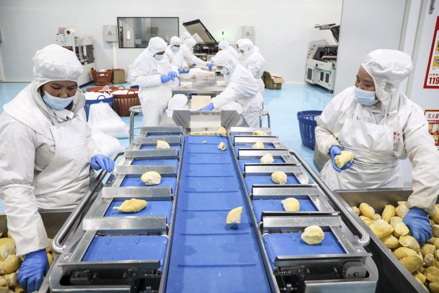 RCEP boosts durian's popularity in China - Asia News NetworkAsia News Network