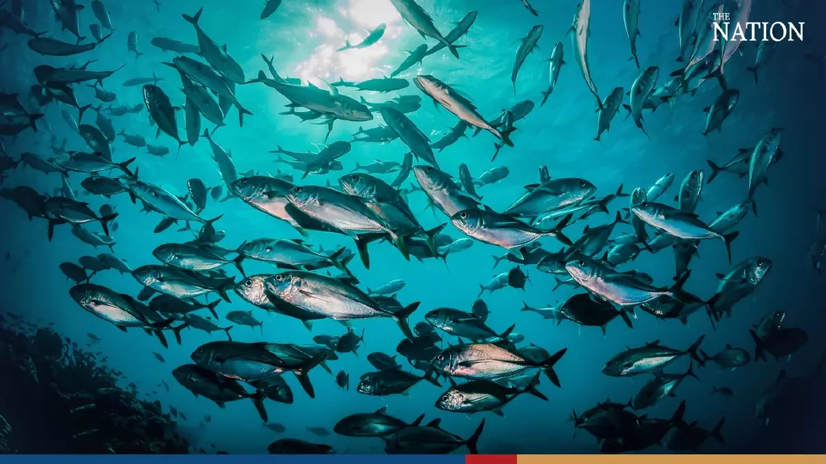 Pet food made with tuna to create added value - Asia News NetworkAsia ...