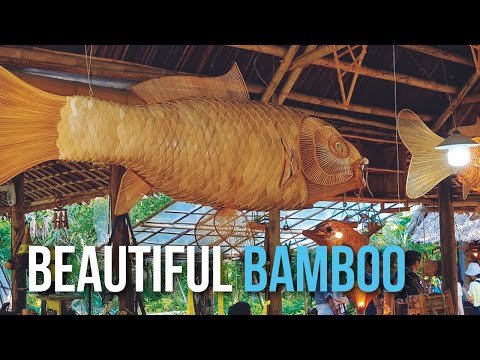 Beautiful bamboo - Asia News NetworkAsia News Network