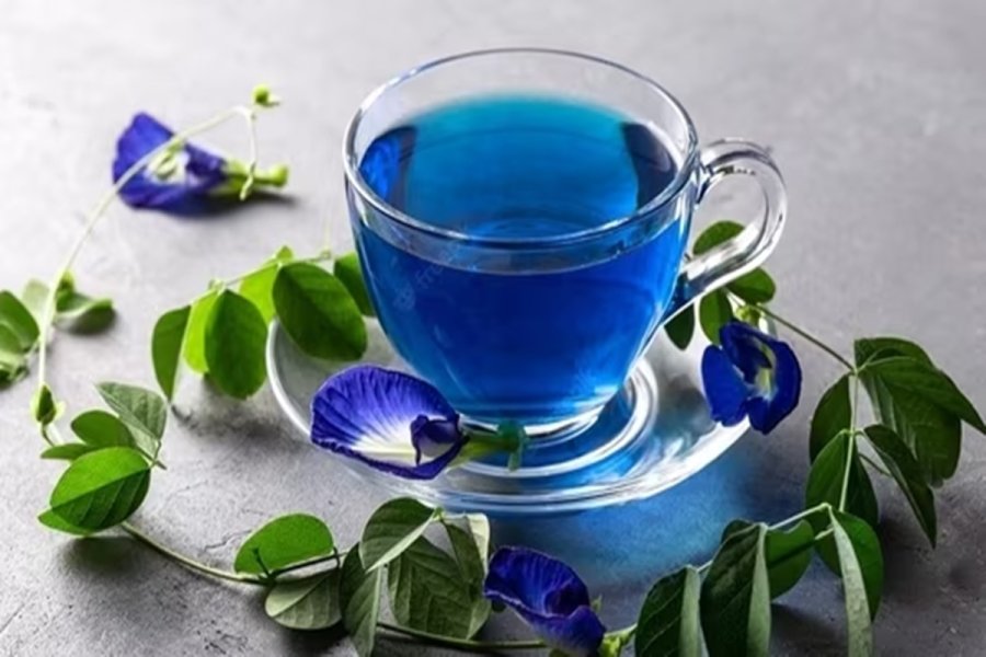 What is Blue tea and why should you start drinking it? - Asia News ...