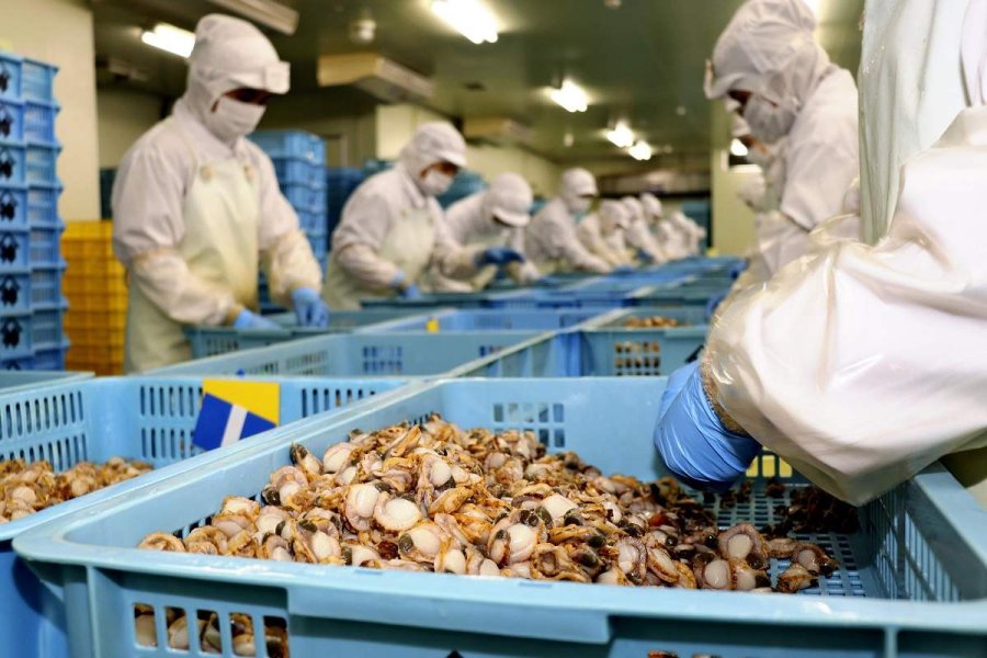 TEPCO to aid fisheries amid water discharge fears, compensation for ...