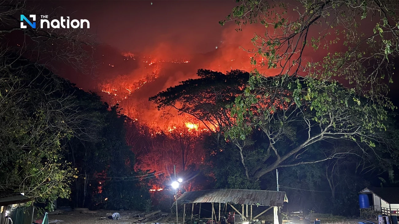 Huge forest areas destroyed by raging fires in Chiang Mai - Asia News ...