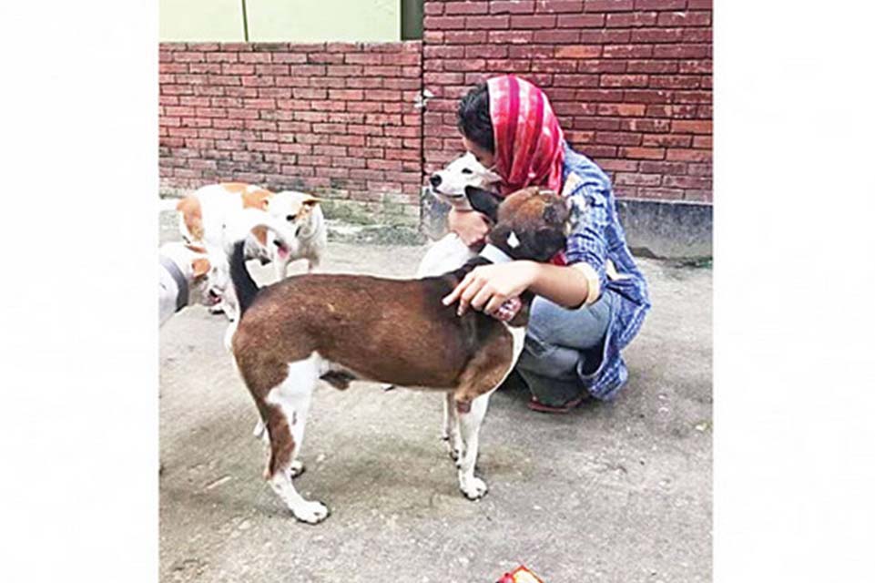 Looking out for strays: Dhaka’s young people unite to ensure animal ...