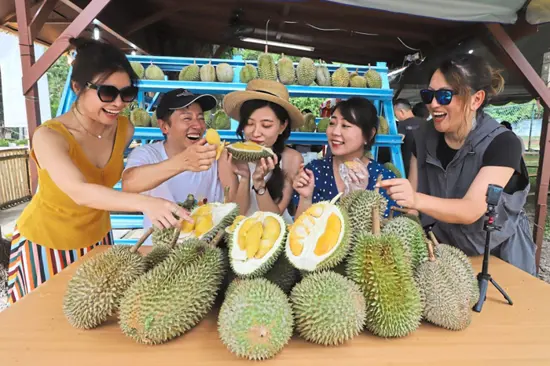 Durian exports to China won’t sting prices in Malaysia - Asia News ...