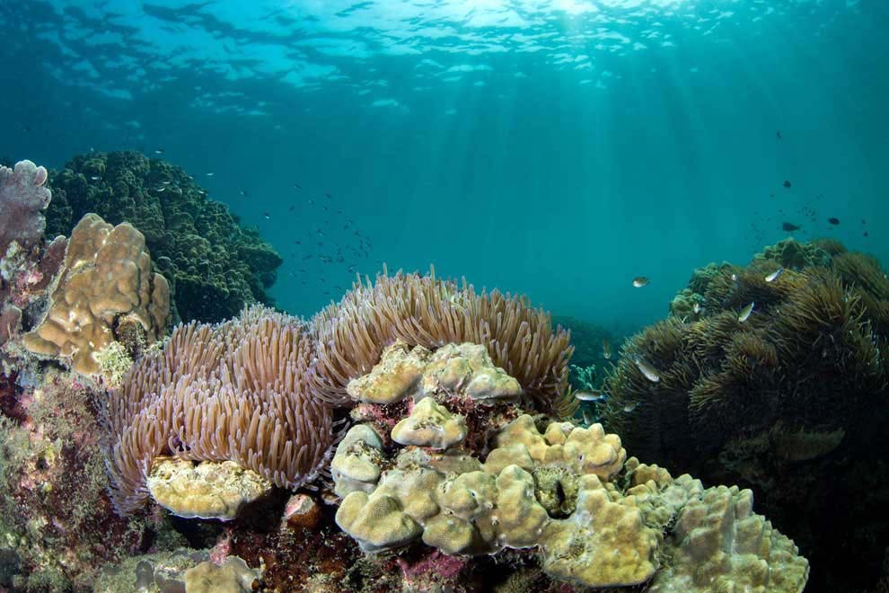 UNESCO report warns of accelerated ocean warming and rising sea levels ...