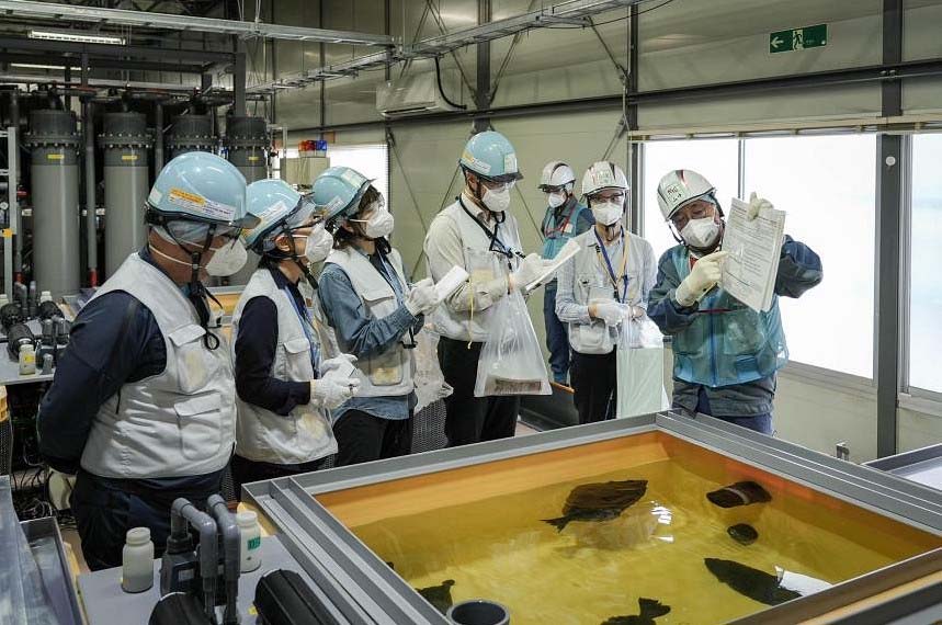 Japan’s seafood experiment clears air on safety of water discharge from ...