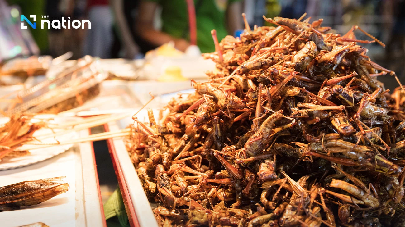 Singapore market offers enormous opportunities for Thai insect ...