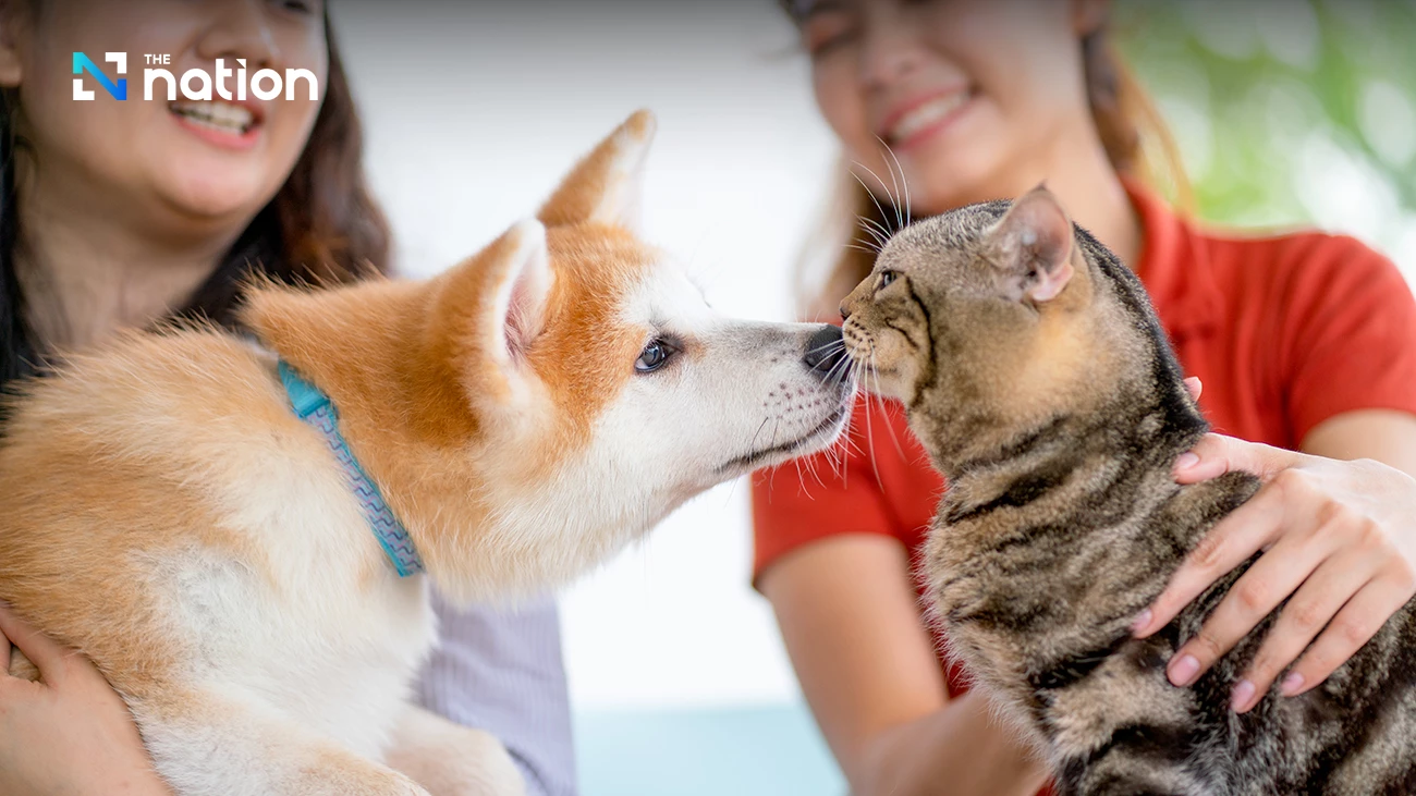 Pet humanisation’ trend playing a big role in expanding Thailand’s pet ...