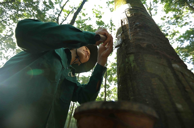 Global supply shortage expected, creating opportunities for Vietnamese ... Global supply shortage expected, creating opportunities for Vietnamese ...