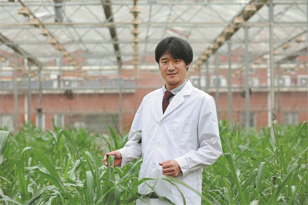 Japanese professor honoured for his work in China - Asia News ...