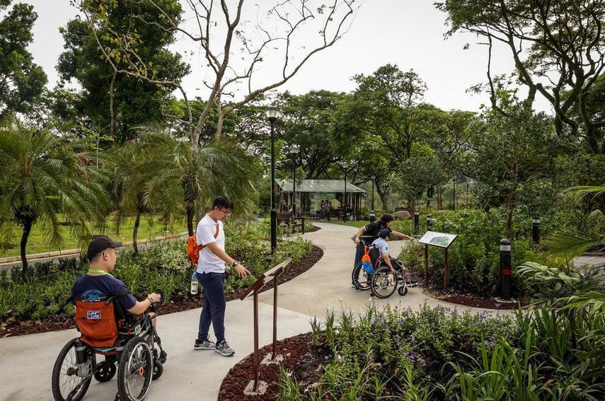 Therapeutic garden opens at Punggol Park with Singapore’s first outdoor ...
