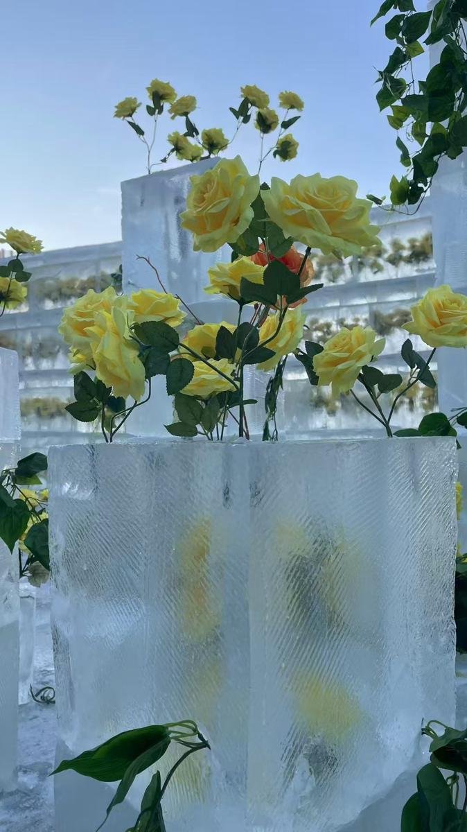 Frozen roses: spring meets winter in China’s Harbin - Asia News ...