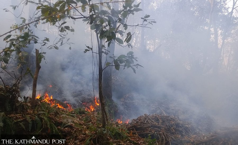 Forest fires continue to rise in Nepal - Asia News NetworkAsia News Network
