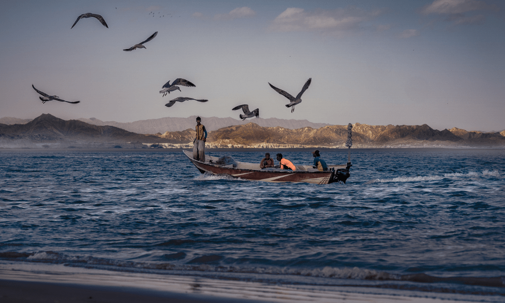 A sea under siege: For Gwadar’s fishermen, the nets are full of hope ...