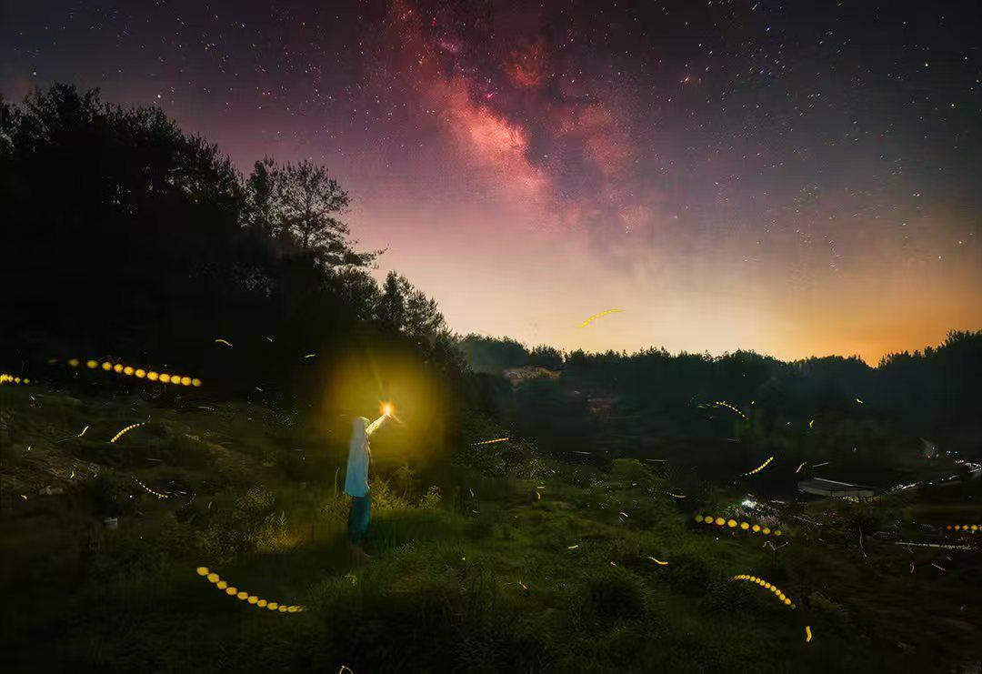 Firefly season draws nocturnal nature lovers to China’s Fujian - Asia ...