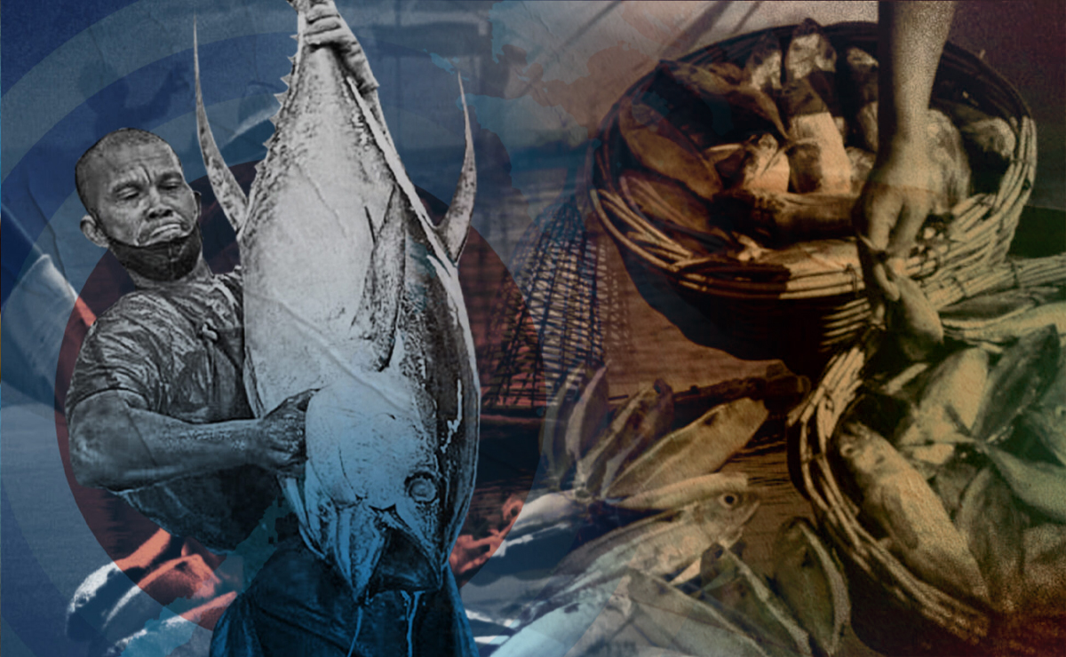 Illegal fishing, overfishing push Philippine fish stocks to historic ...