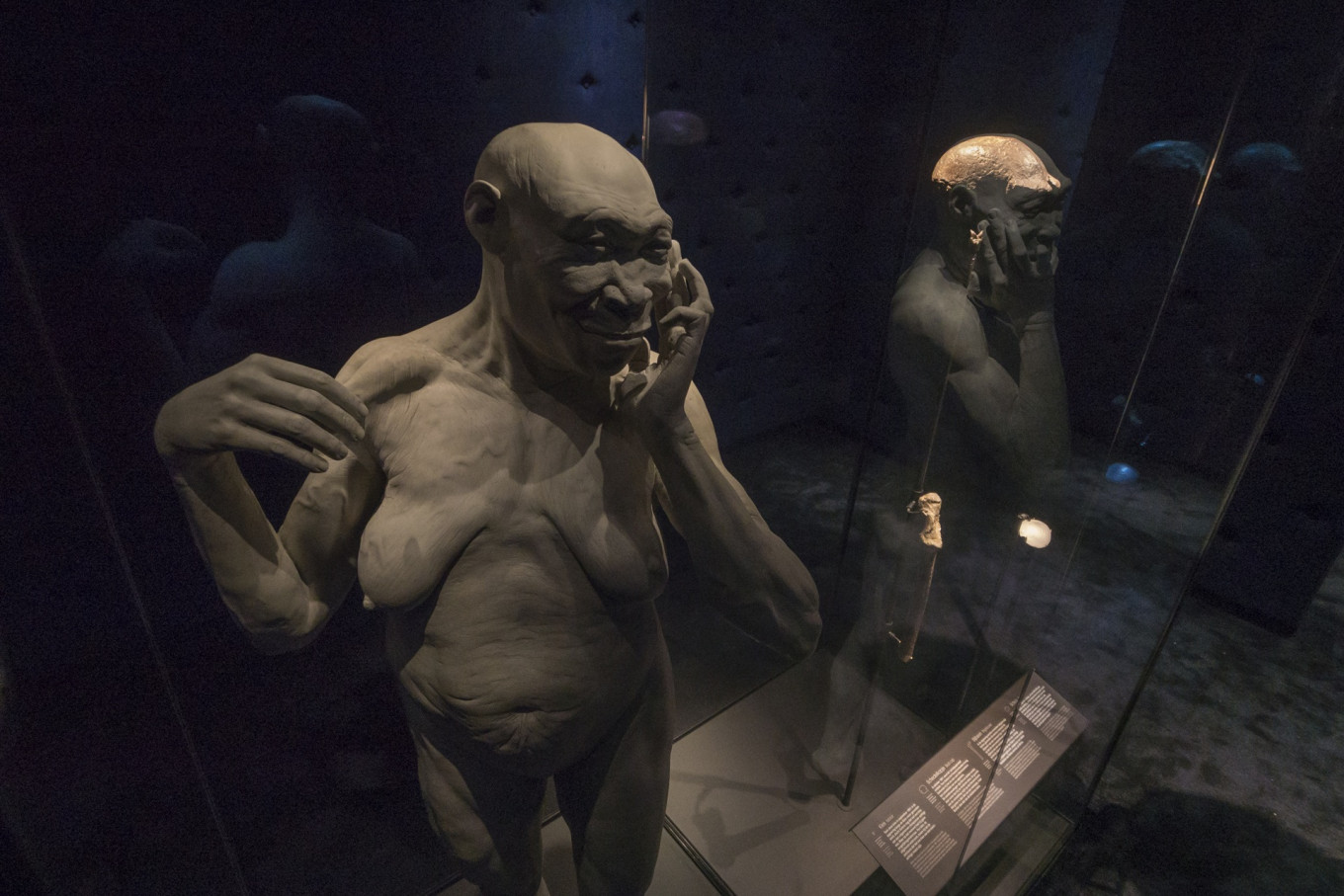 Return of ‘Java Man’ fossil to Indonesia hailed, may open door for more ...