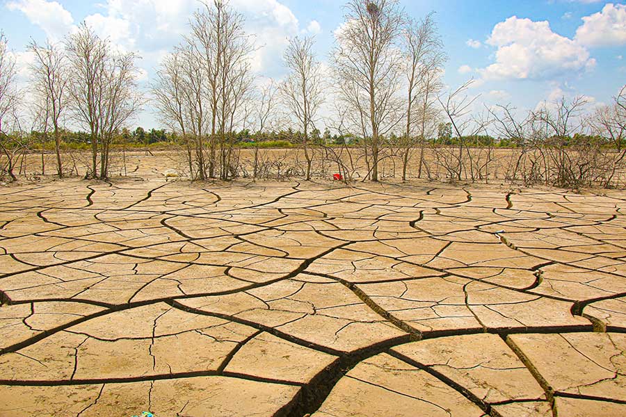 El Niño looms over Vietnam with drought, heat and salinity risks – Asia ...