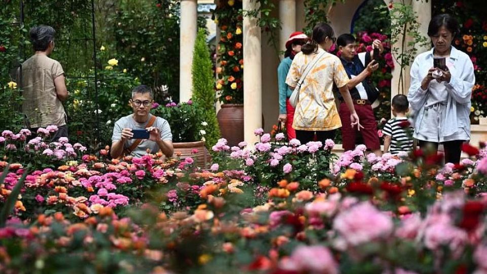 Insta-official: Gardens by the Bay crowned world’s most photographed ...
