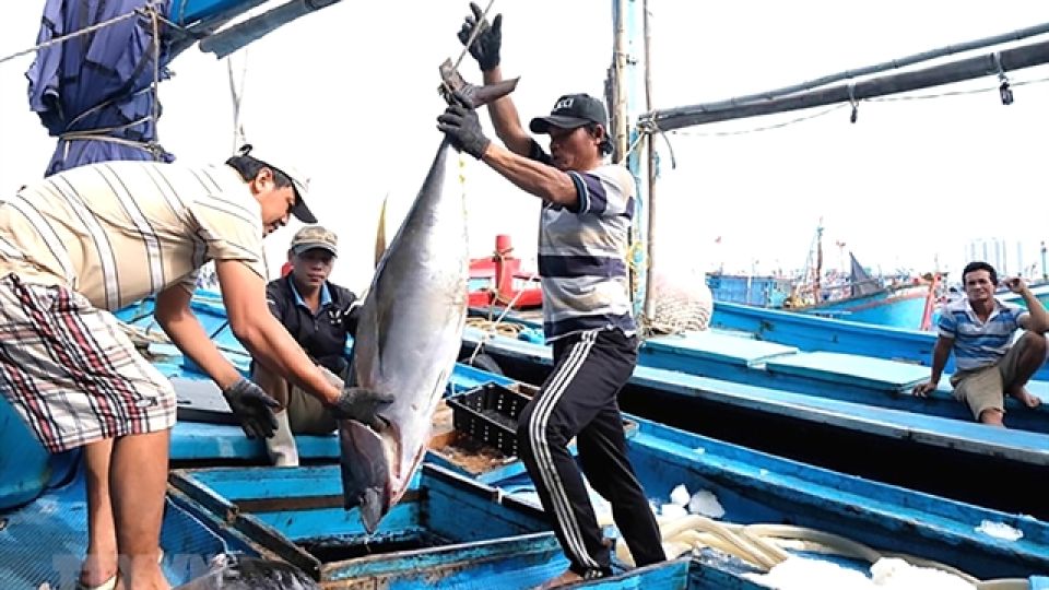 Vietnamese aquatic products reach new markets – Asia News Network