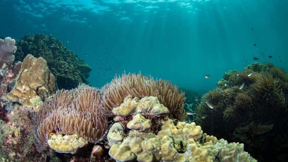 UNESCO report warns of accelerated ocean warming and rising sea levels ...