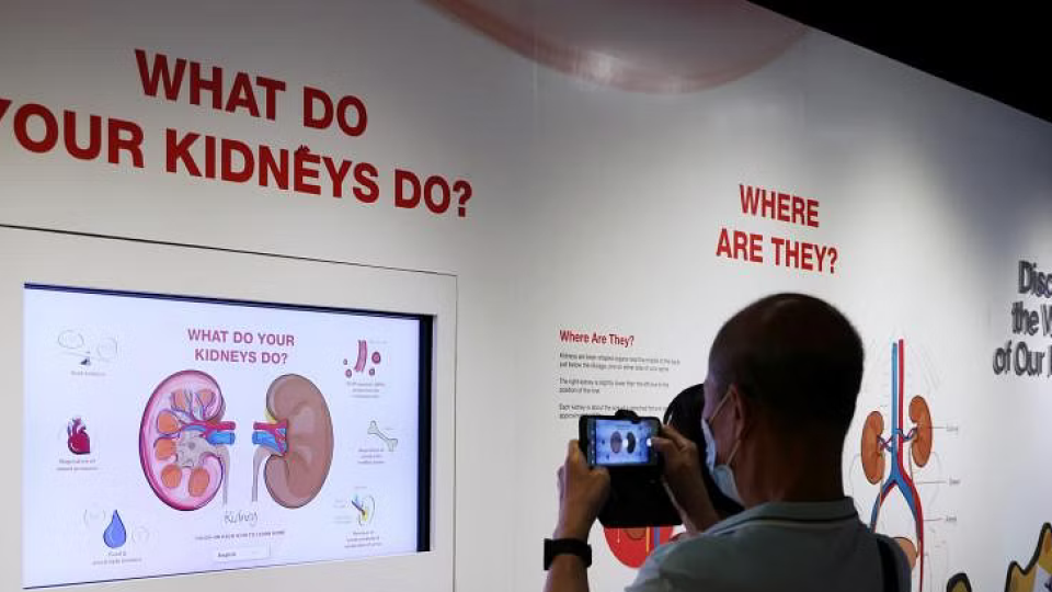S’pore’s National Kidney Foundation to open more than 200 additional ...