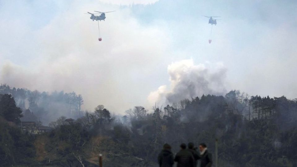 Wildfire in Japan’s Ofunato consumes 2,100 hectares; nation’s largest ...