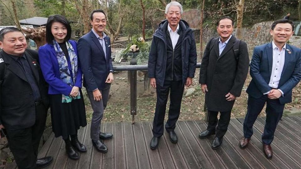 Singapore-born panda cub Le Le gets a visit in Sichuan from SM Teo Chee ...