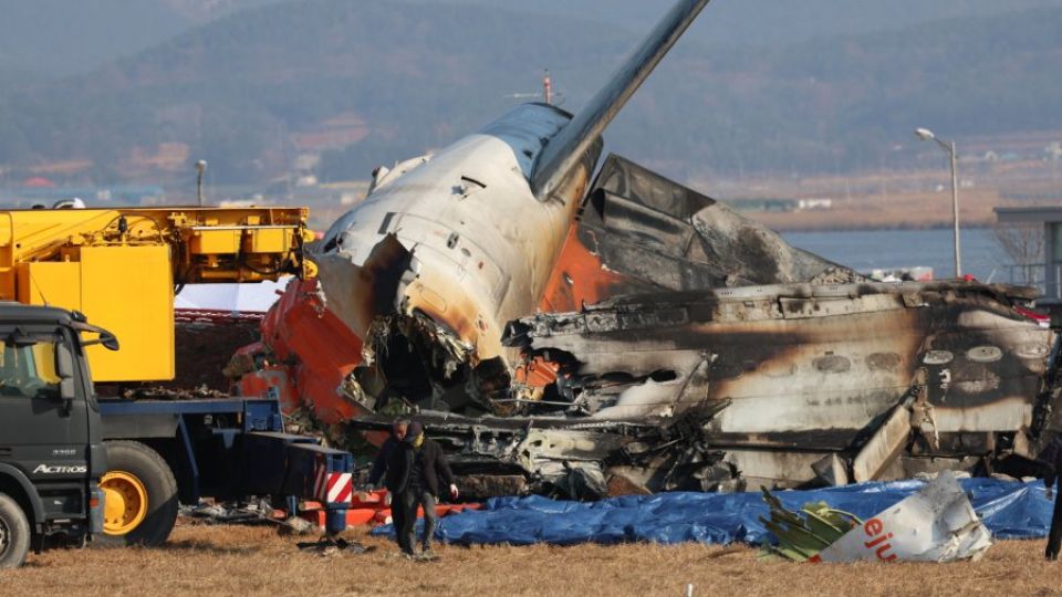 Worst Plane Crash 179 Dead In South Korea's Worst Plane Crash, Bird