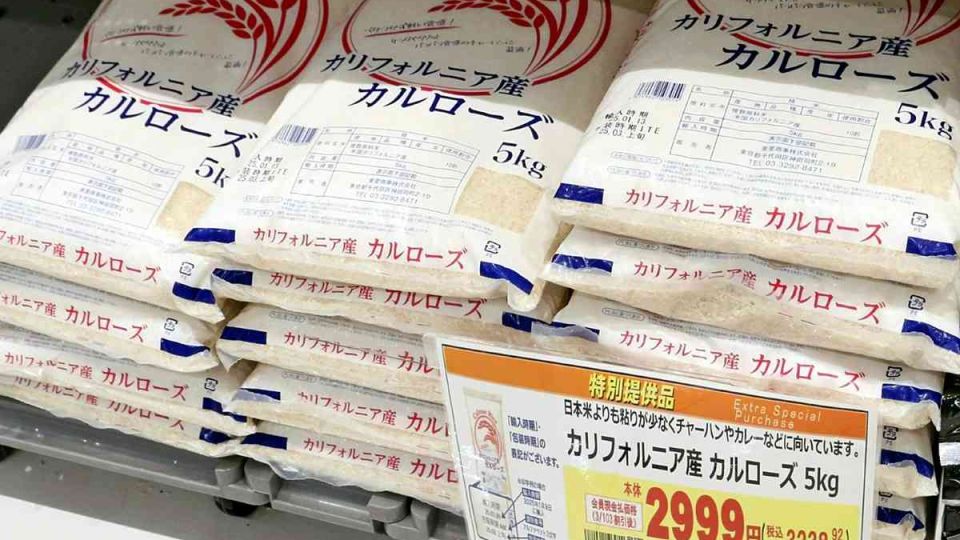 In Japan, private rice imports surge amid domestic shortages - Asia ...