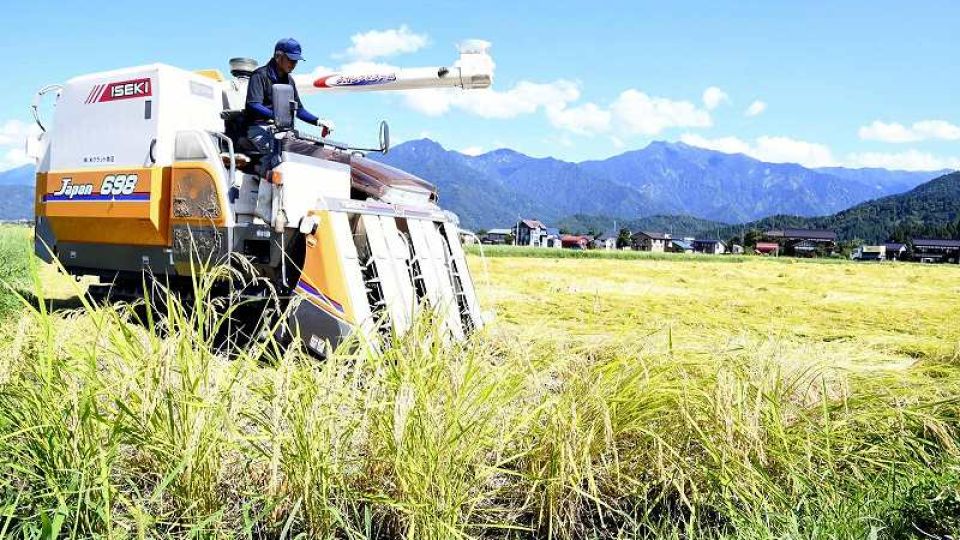 Rice supplies in Japan still low, with prices almost doubled from year ...